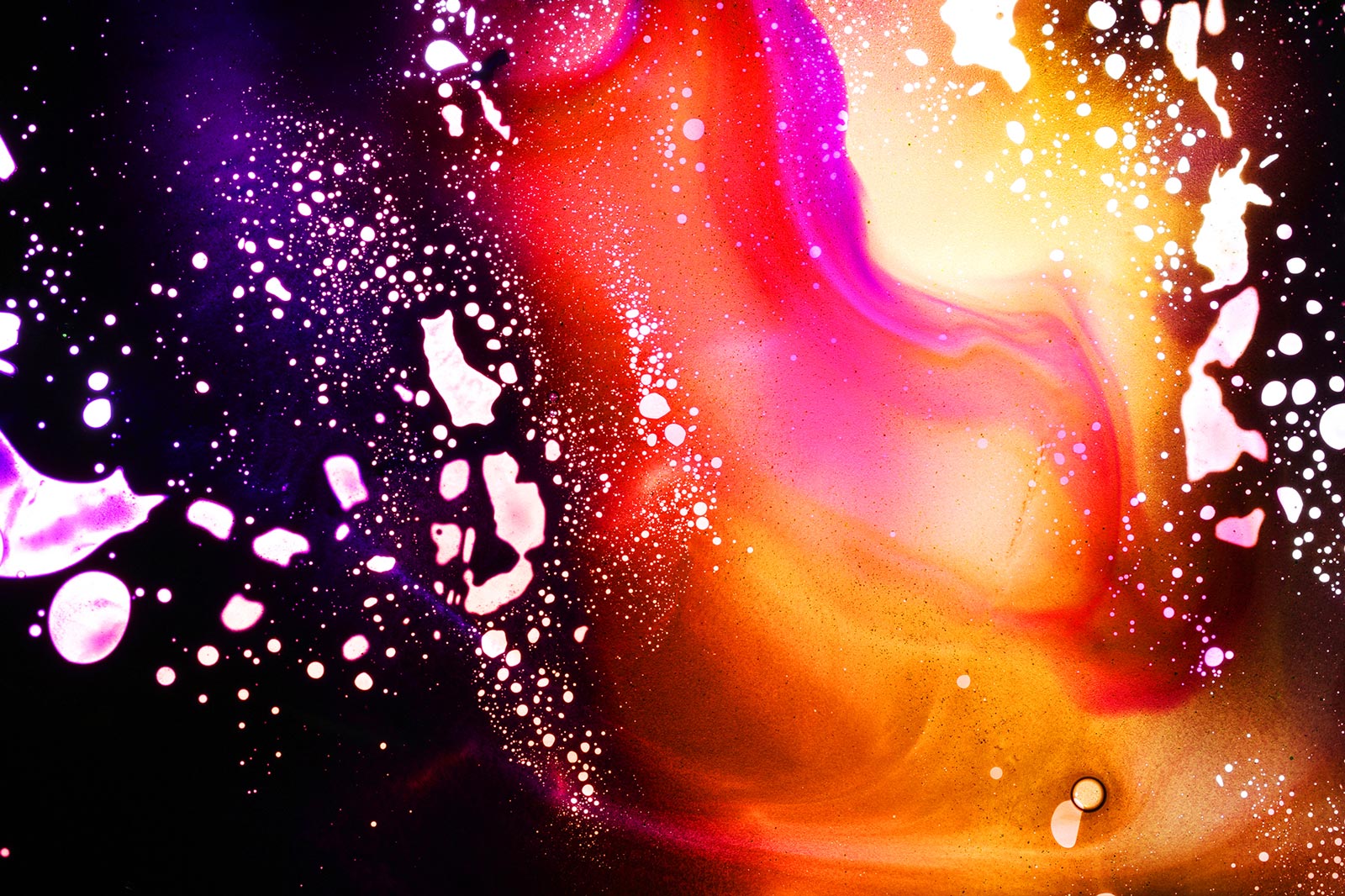 Who We Are - MSL India